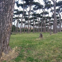 Parco Regionale Del Pineto - Park in Aurelio