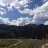 Lacul Noua - 6 tips from 381 visitors