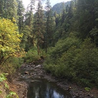 Eagle Creek Trailhead - Trail in Cascade Locks