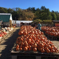 Allandale Farm - Jamaica Hills - Pond - 259 Allandale Rd
