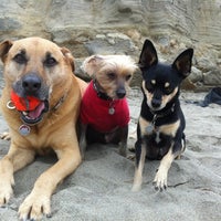 Fort Funston - Beach in Lakeshore
