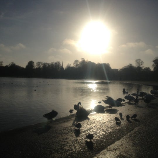 The Round Pond - Lake in London