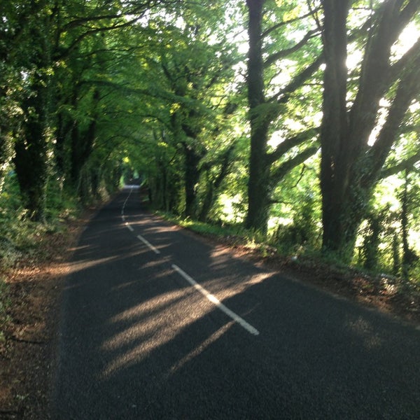 The Bush Inn - Ovington, Portsmouth