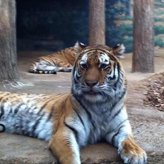 Milwaukee County Zoo - Zoo - 104 tips