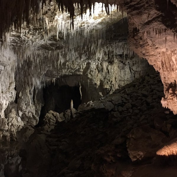 Ruakuri Cave - 5 tips