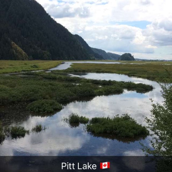 Pitt Lake - Lake