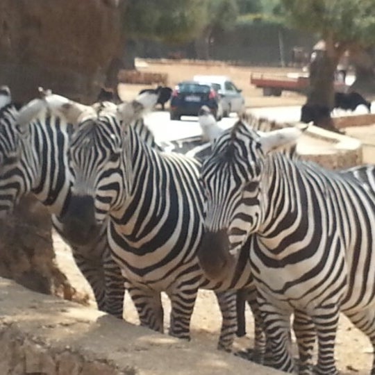 ZooSafari Fasanolandia - Via dello Zoosafari