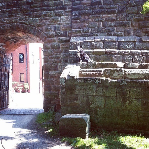 Chester Walls - Trail in Chester