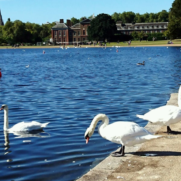 The Round Pond - Lake in London