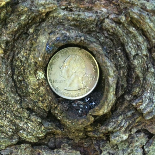 George Washington Memorial Park - 3 tips from 487 visitors