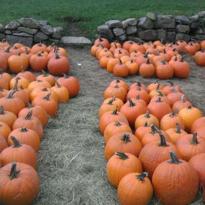 Russell Orchards - Farm