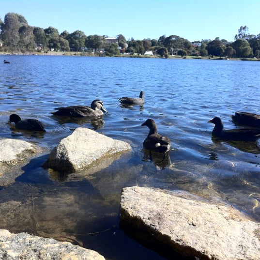Jackadder Lake Reserve - Lake