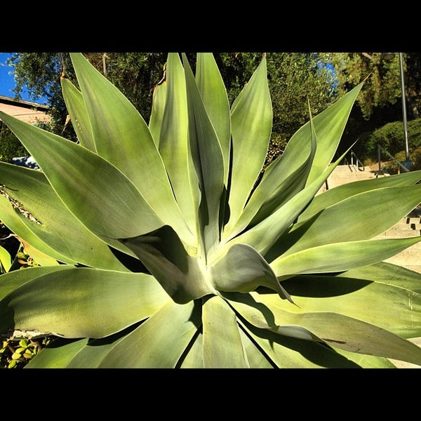 Mattachine Steps - Silver Lake - Los Angeles, CA