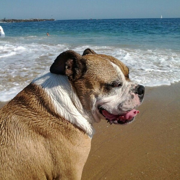 Balboa Peninsula - 10 tips