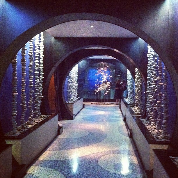 One Ocean Resort and Spa reviews, photos - Beachside - Jacksonville ...