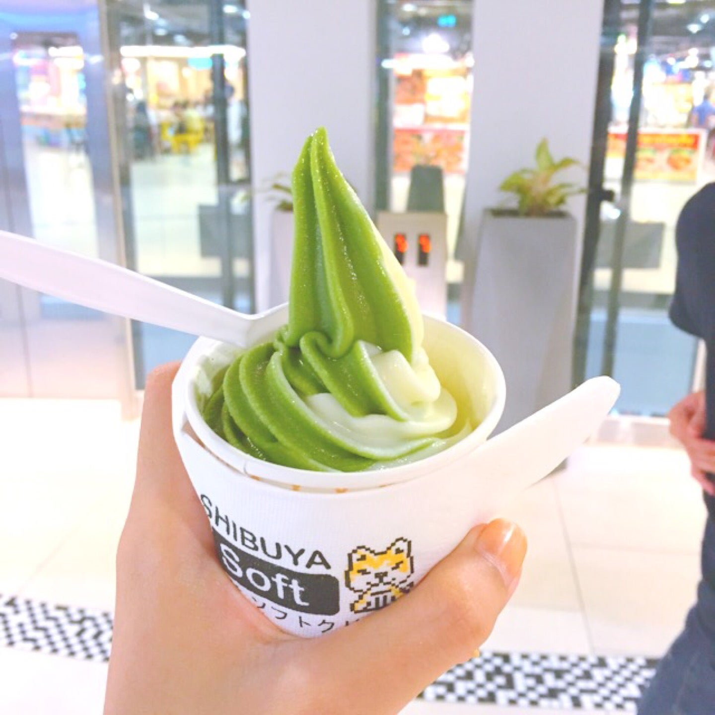 รูปภาพร้าน Shibuya Soft ใน สุเทพ เชียงใหม่ | OpenRice Thailand
