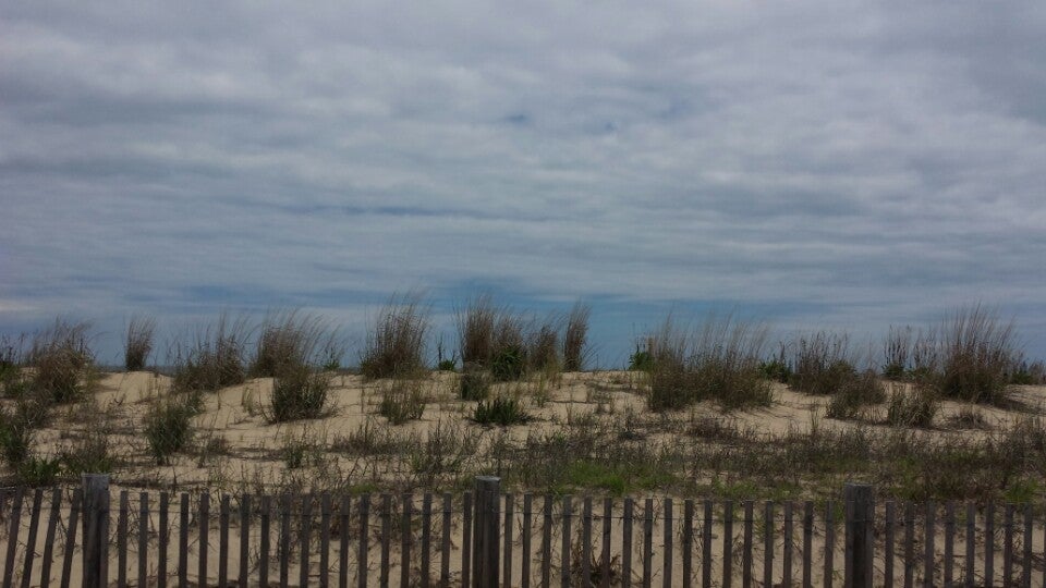 Poodle Beach Photos - GayCities Rehoboth Beach
