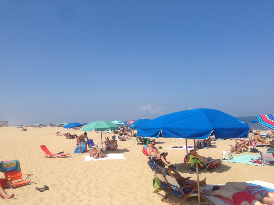 Poodle Beach Photos - GayCities Rehoboth Beach