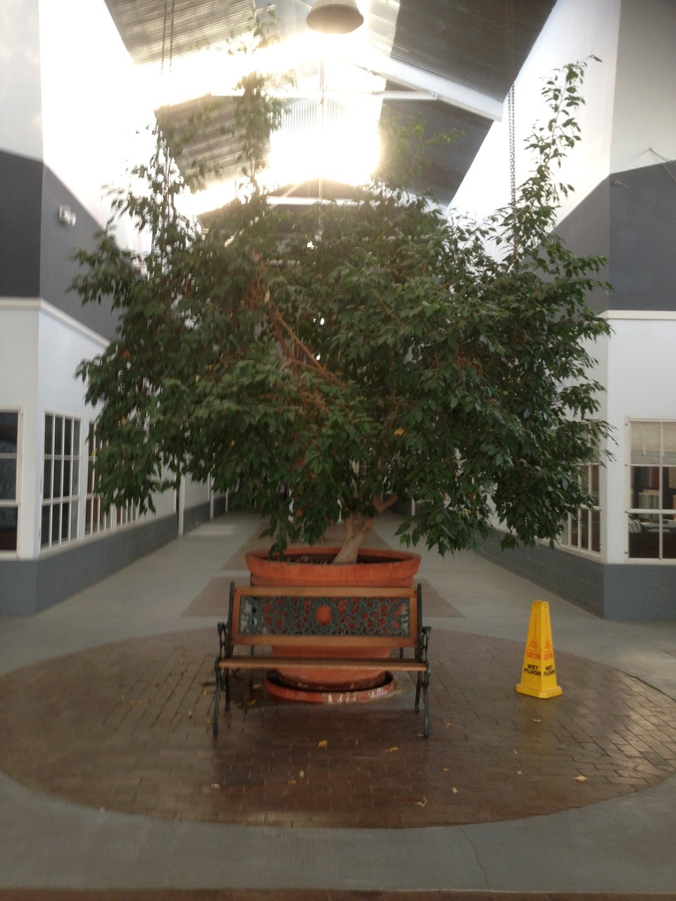 Hartigan's Irish Pub reviews, photos - CLOSED - Uptown - Charlotte ...