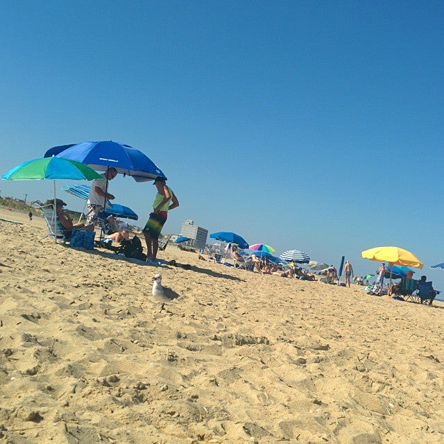 Poodle Beach Photos - GayCities Rehoboth Beach
